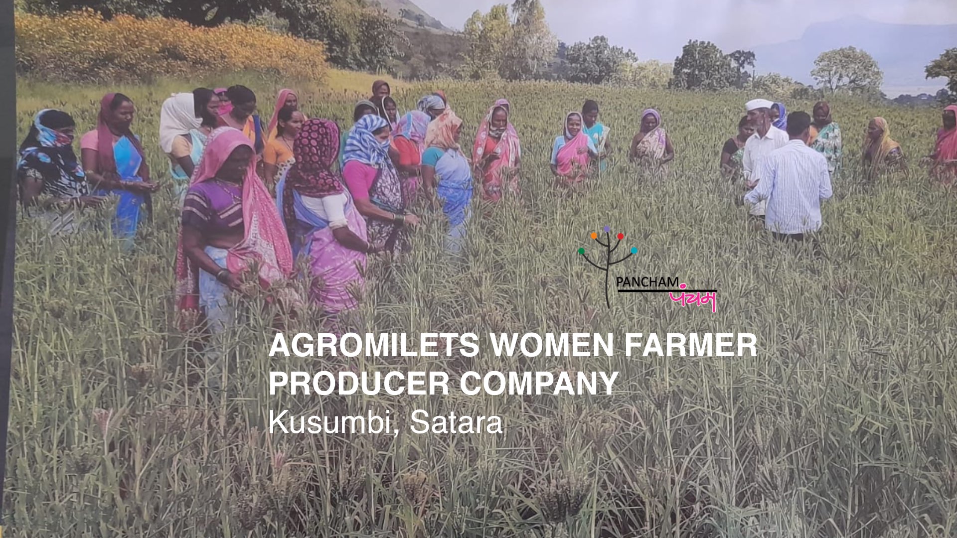 Create Farmer Producer Organization - Maharashtra Foundation